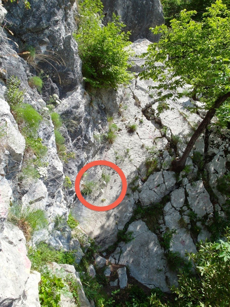 Le montagne alle quali appartengo: Spigolo del Glemine (710 m.s.l.m.)