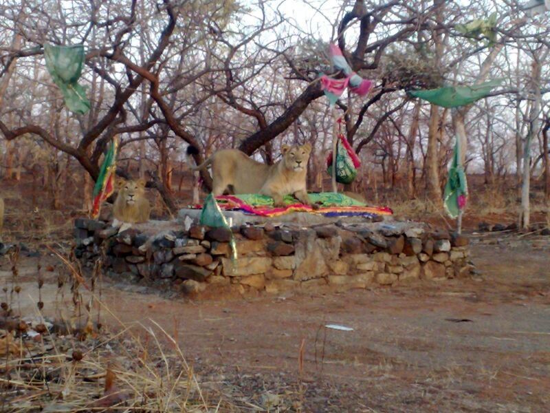 Shafaq's Life Full of Islam: Jungli Peer Baba in Gujarat