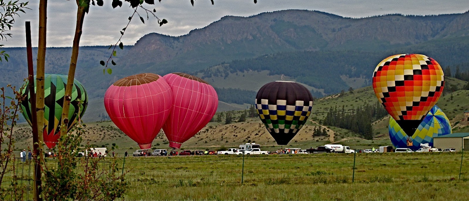 Travel With Whippets: Creede, Colorado --- Balloon Invasion