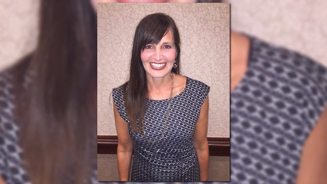 Screams from the Porch: Susan Horn wins last open BOE seat