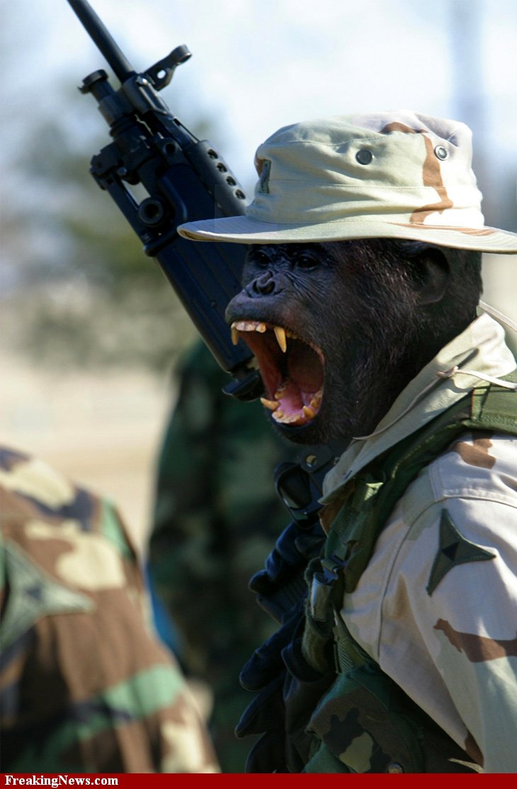 Sally and Sam: Ape With AK-47