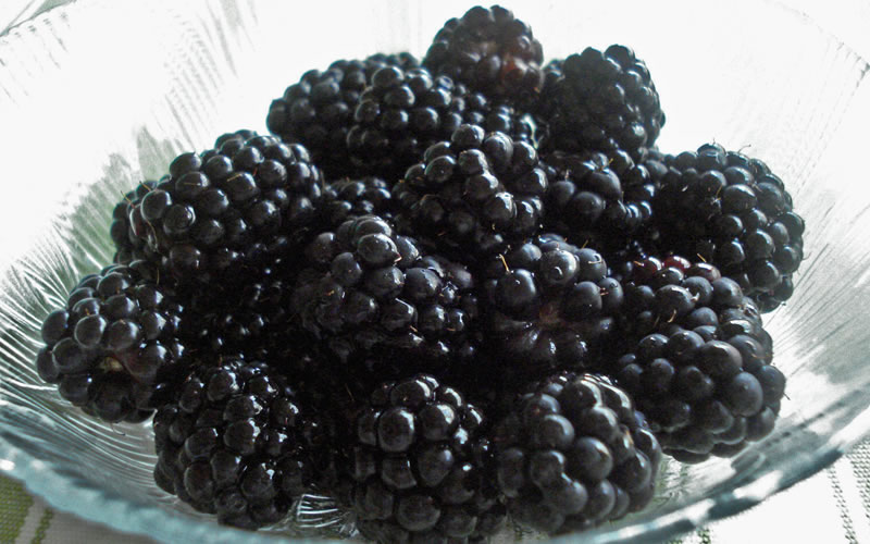 Naravna znanost o zdravju: ROBIDE