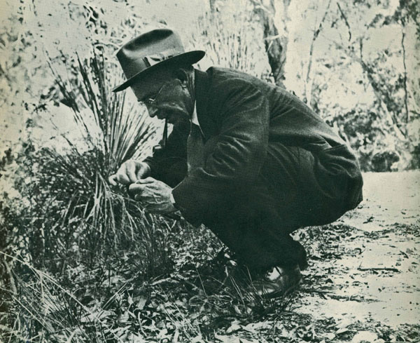 HISTORIAS DE HORMIGAS: Prólogo a "Cinco ensayos de mirmecología" de ...