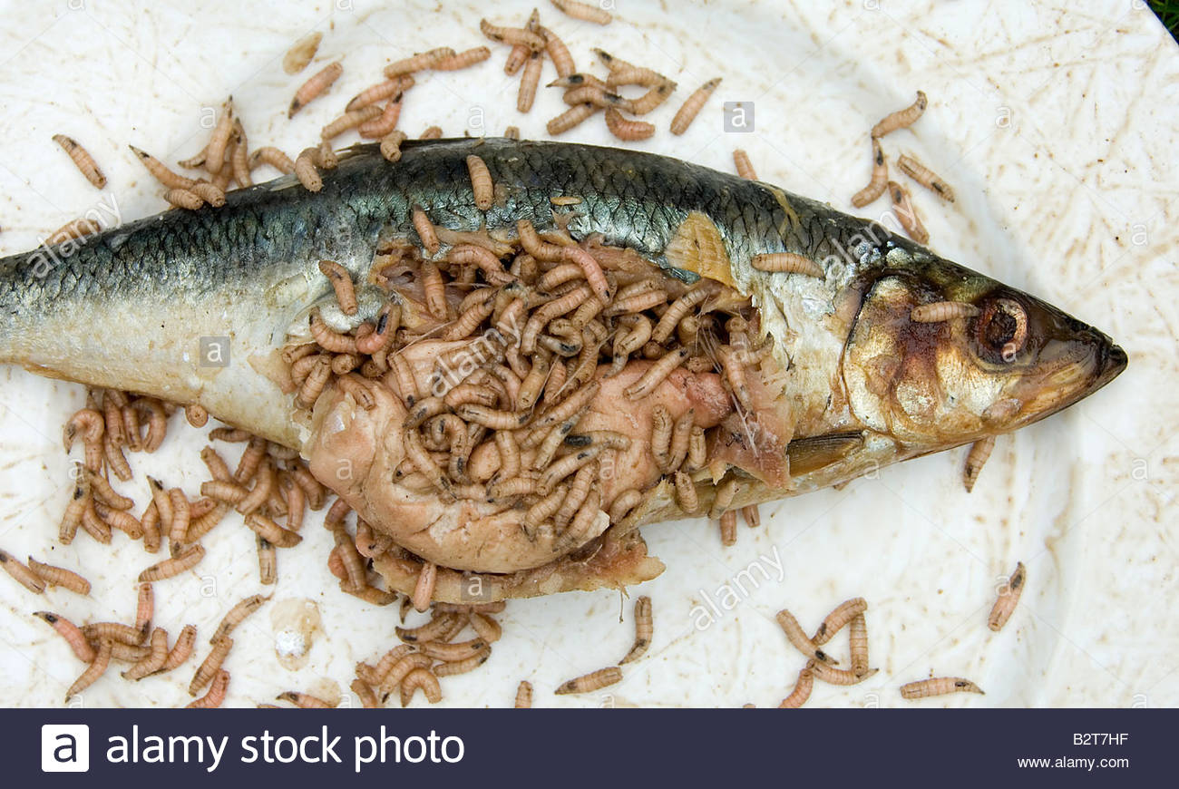 Erin's Blog: July 2016