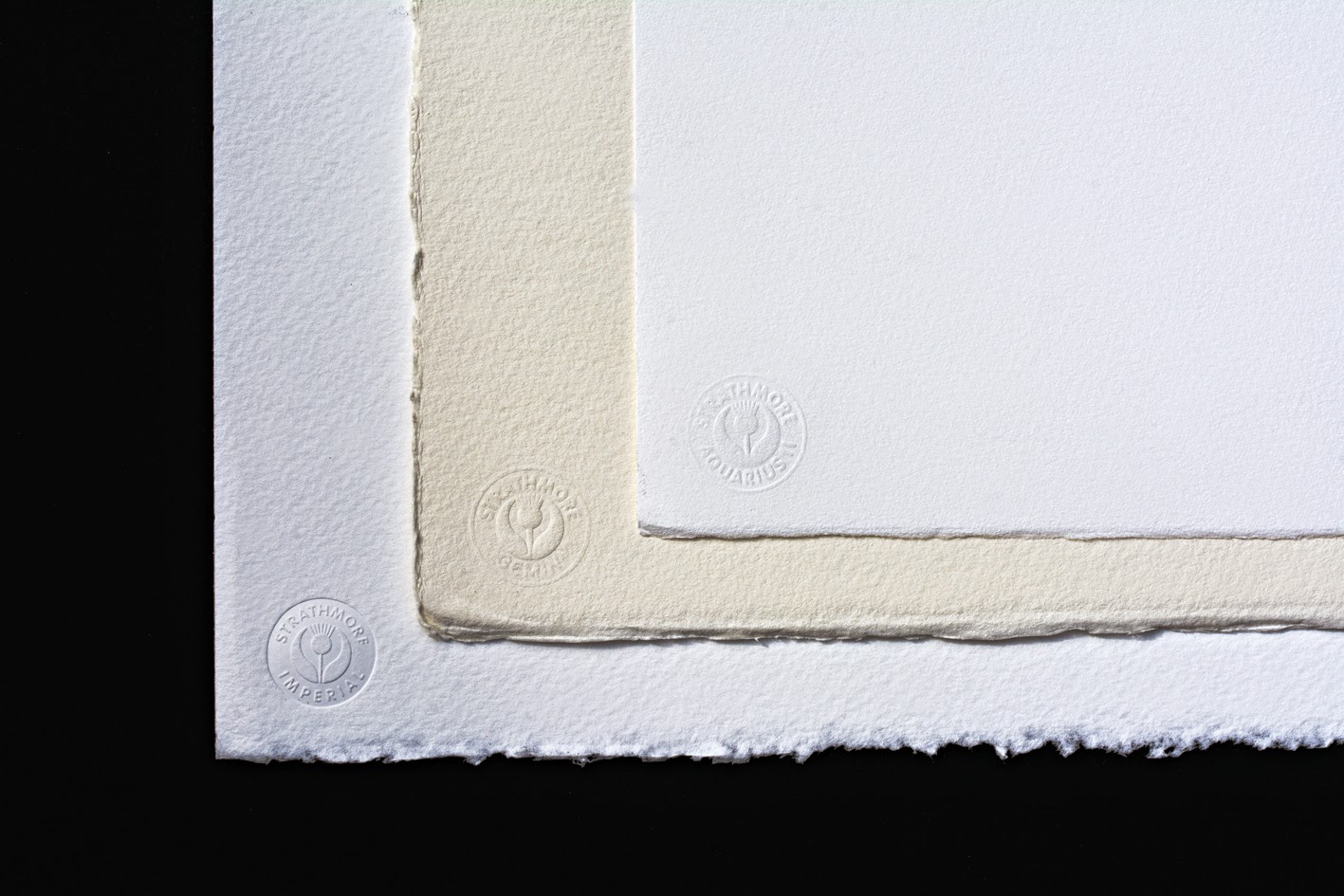 Robert Dutton Artist