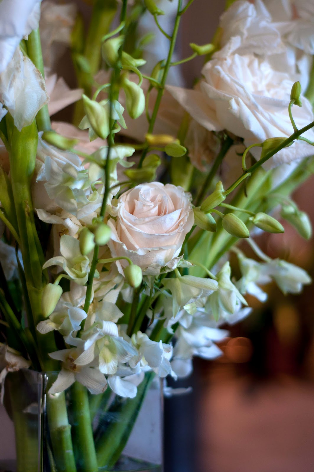 Aesthetic Nest: Design: White Flowers