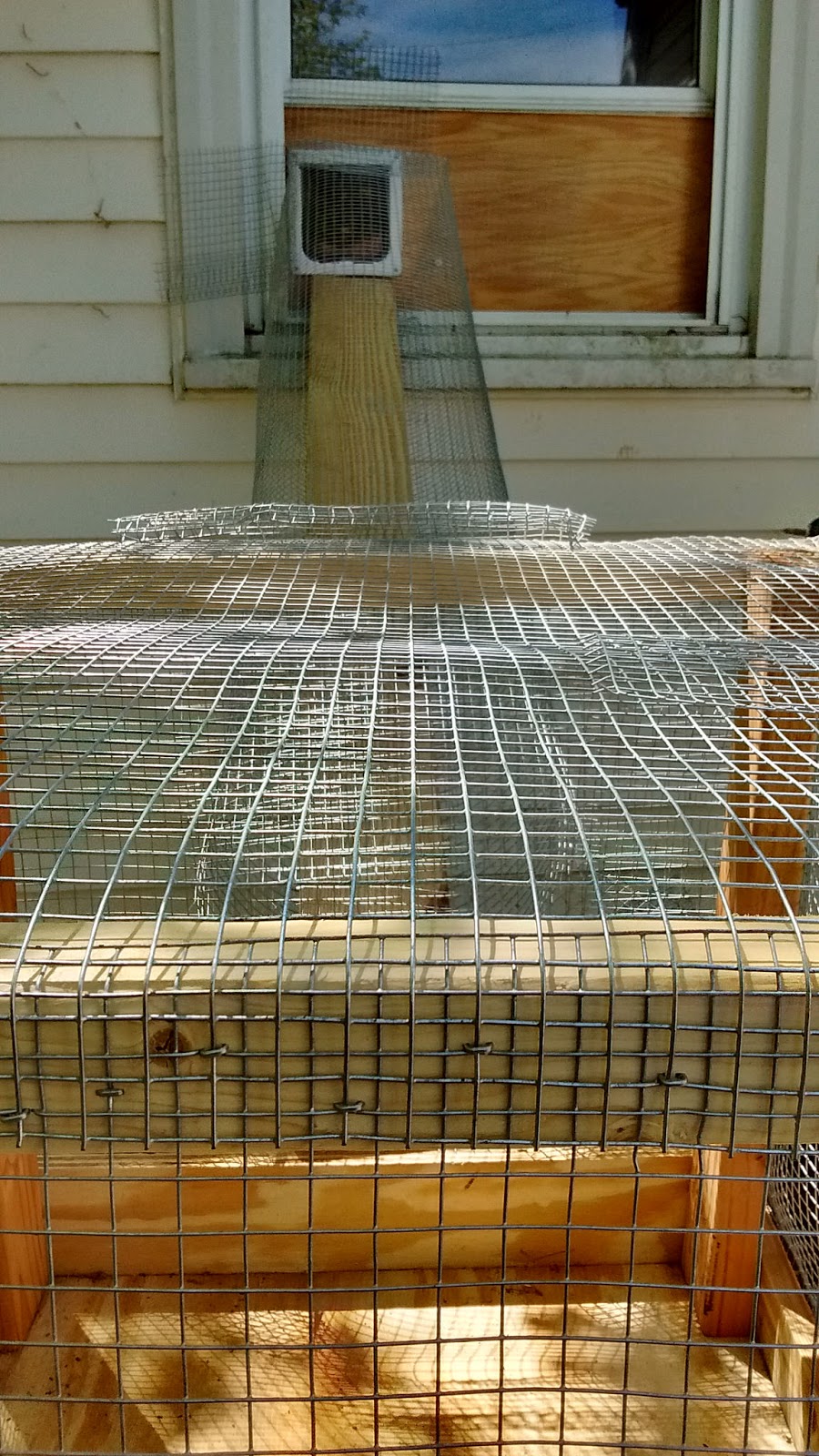 HackRVA Makes: Cat + Patio = CATIO