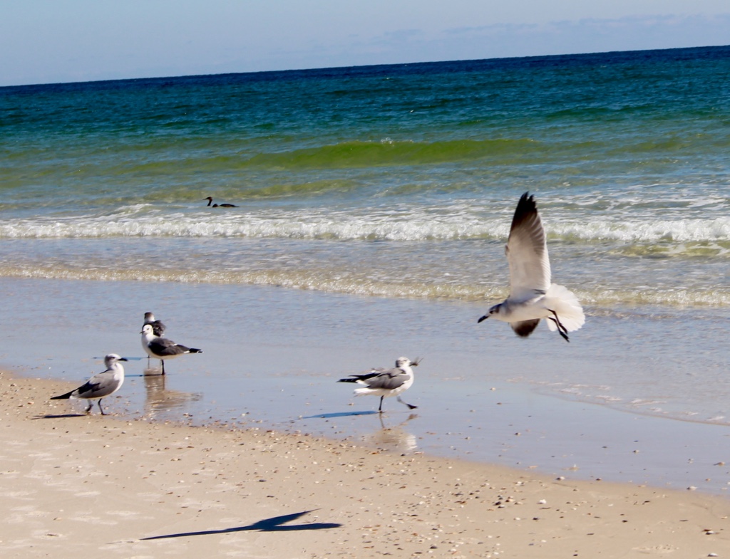 Through the Lens: Reacquainting Ourselves