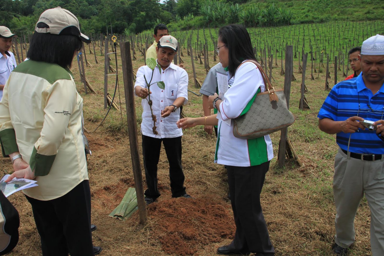YB DATUK MOHD TAJUDIN ABDULLAH: Lawatan ke Ladang Lada Hitam/Putih oleh ...