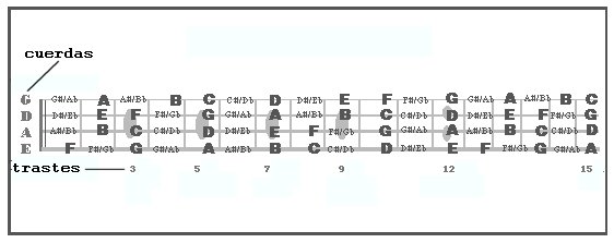 Cómo empezar a tocar el bajo. - Taringa!