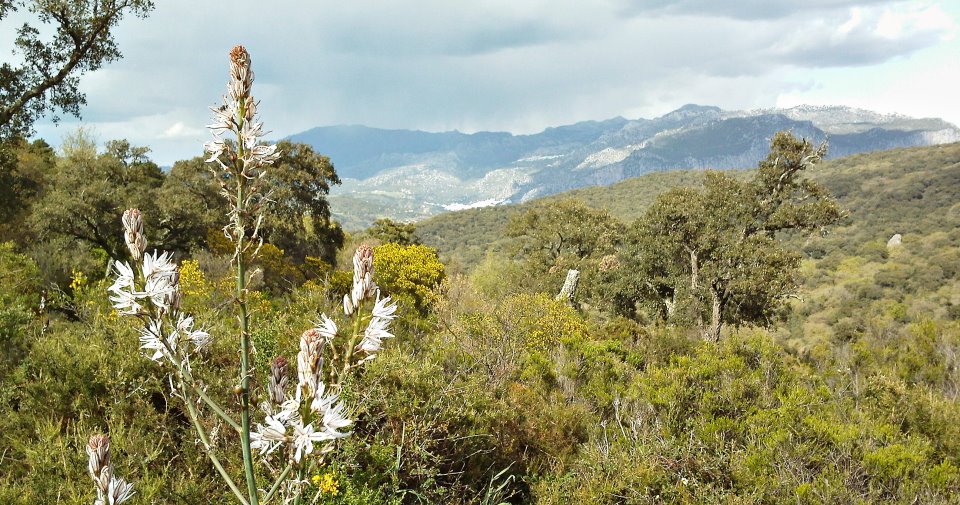 Manuel Cabello y Esperanza Izquierdo: "El blog de Ocurris". "Ubrique en ...