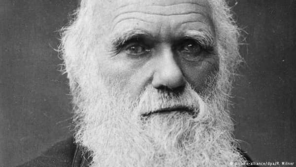 Darwin detonou a 'ordem mundial divina' em 1859 com o livro 'Origem das ...