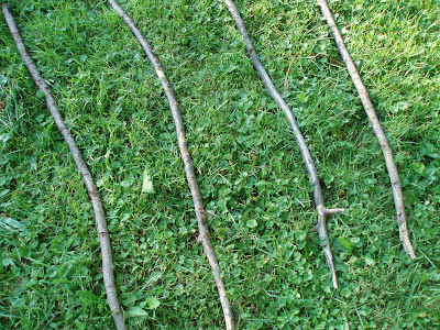 Newfoundlander at Heart: In the Garden: Fencing, DIY style