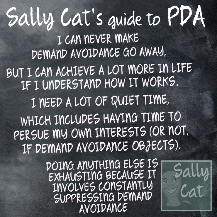 Sally Cat PDA: Memes About Demand Avoidance