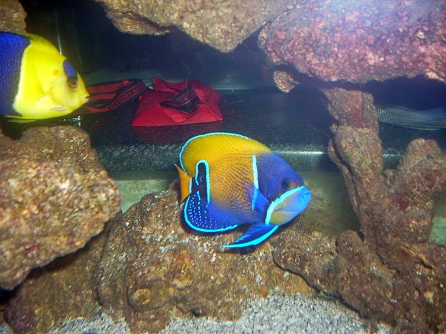 Namibia Reservations: National Marine Aquarium of Namibia