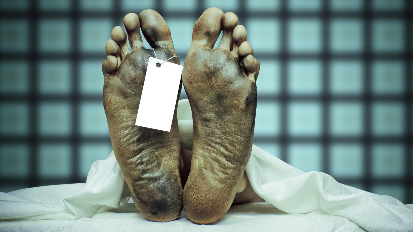 ¿Cuanto tarda un cuerpo en descomponerse? | Mundo en Tus Manos