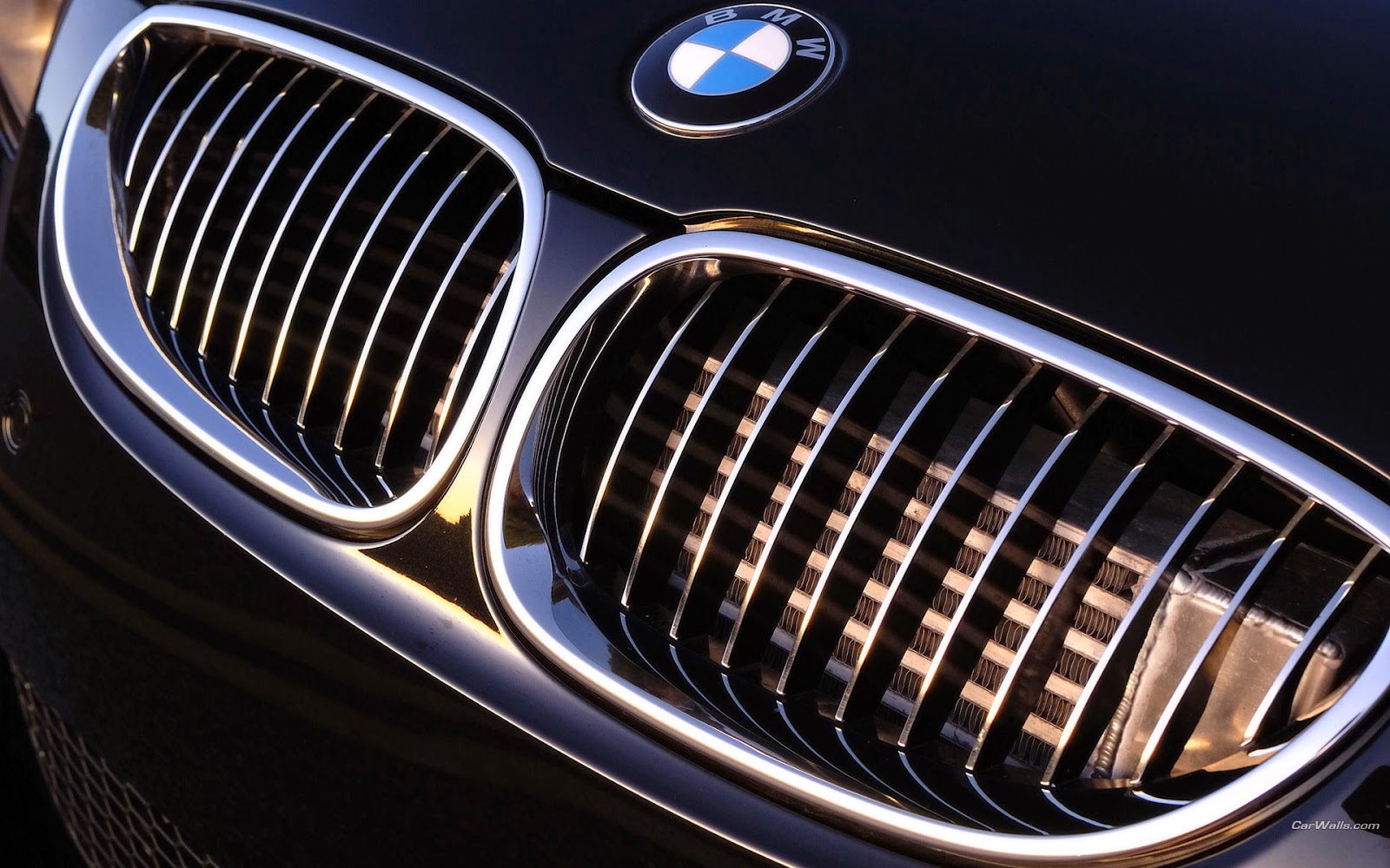 10 Interesting Facts About BMW: The Ultimate Driving Machine From Germany