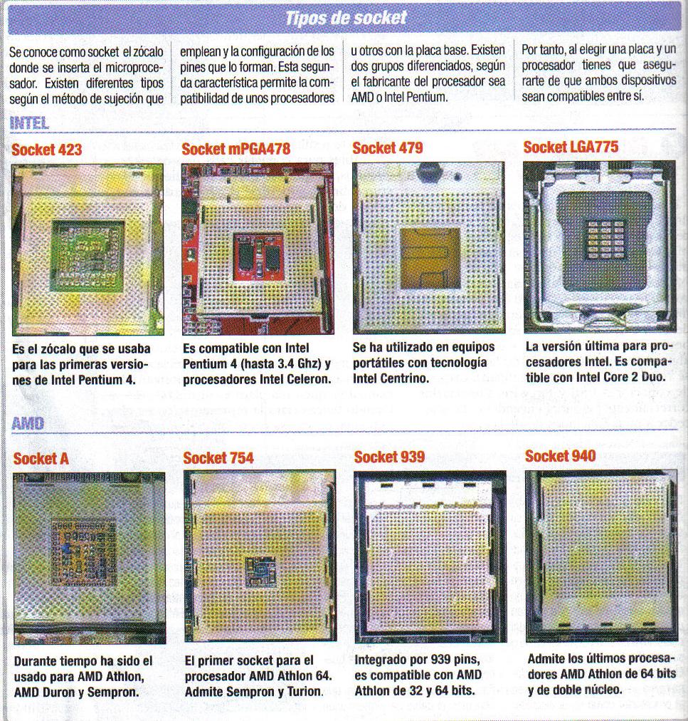 SISTEMAS Y TELECOMUNICACIONES: SOCKET, CHISEPT Y RANURAS DE EXPANSIÓN