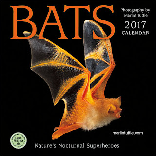 Calendar Bats 2017 - Nature's Nocturnal Superheroes