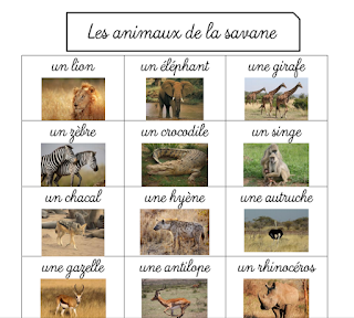 Delfynus - Une maitresse qui vous veut du bien: Les animaux