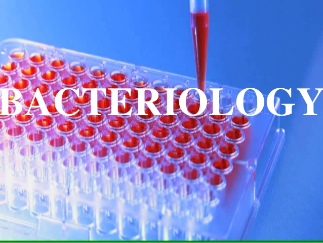Bacteriology the Study of Bacteria