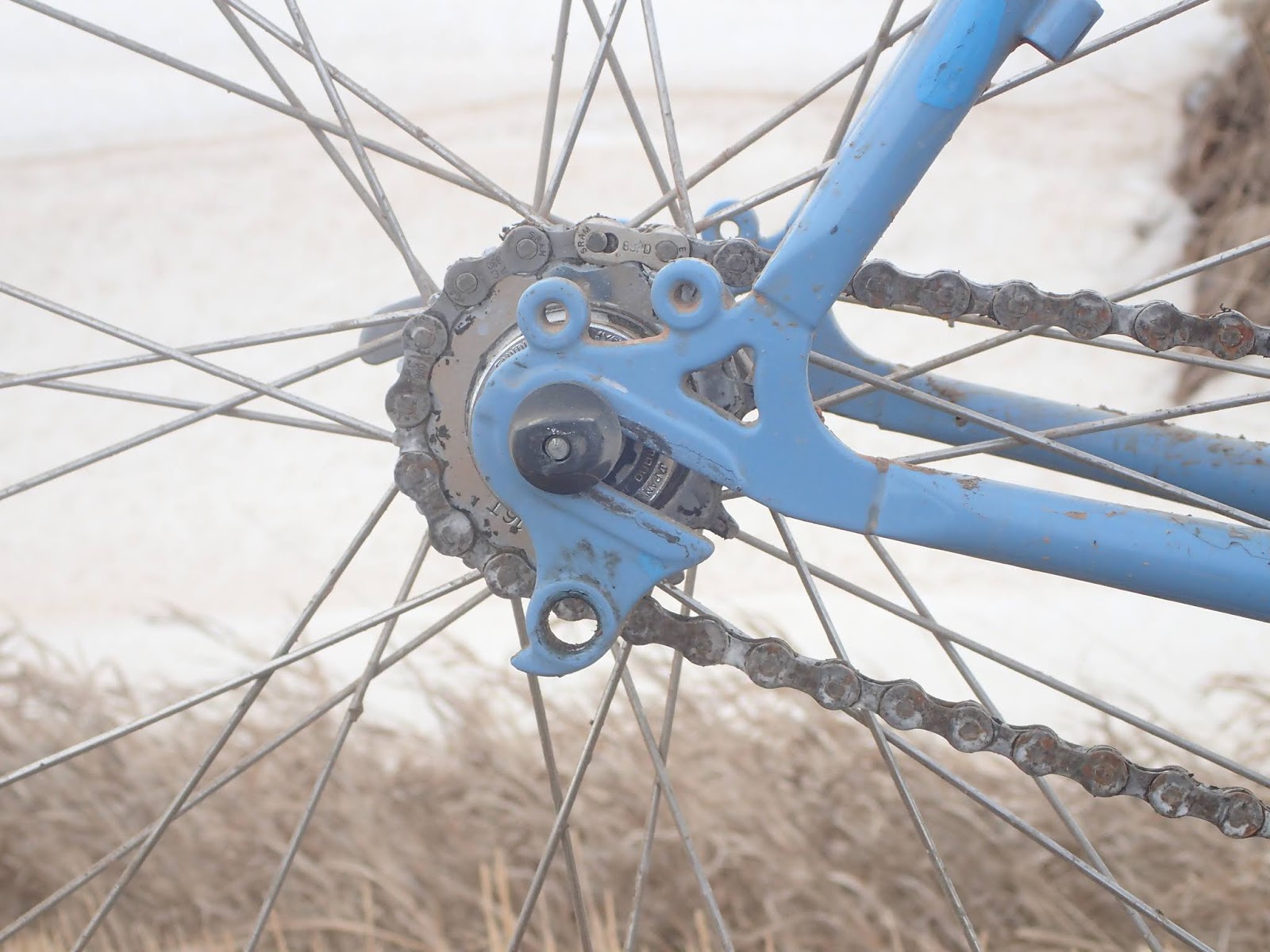 Black Hills BackBone: Single Speed, It Is