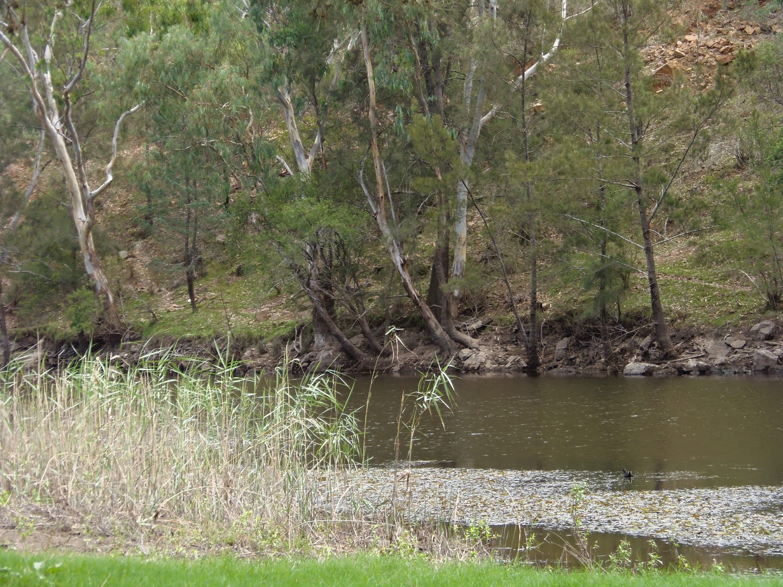 Solo Steve On The Road: BEAUTIFUL BINGARA NSW - REVISITED