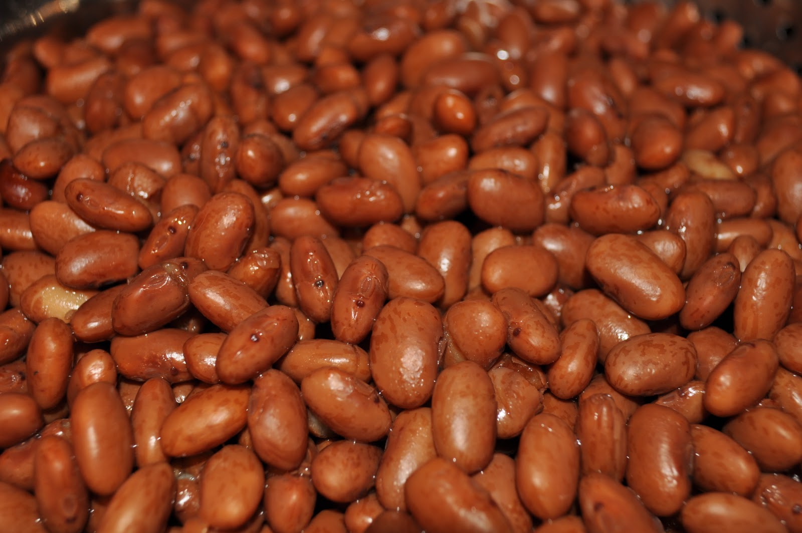 Natural and Organic Lifestyle: Make beans in your crock pot