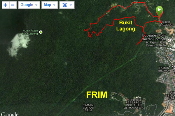KC & the Sunshine Runners: Bukit Lagong Exploratory Trail Run