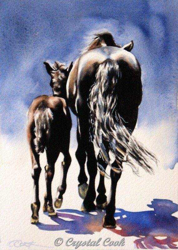 Art by Crystal Cook: Animal Gallery