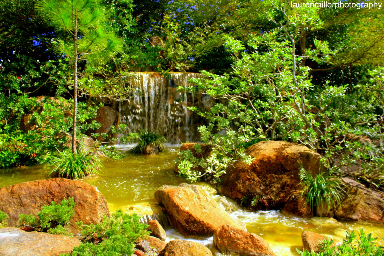 Photo Essays by Lauren Miller: The Morikami Museum and Japanese Gardens