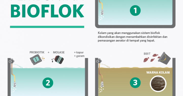 balebete baunajuku: Pembuatan Bioflok
