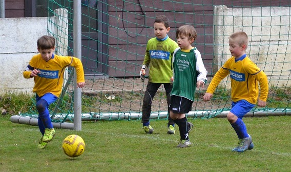 U7 Schelle Sport - Seizoen 2013-2014