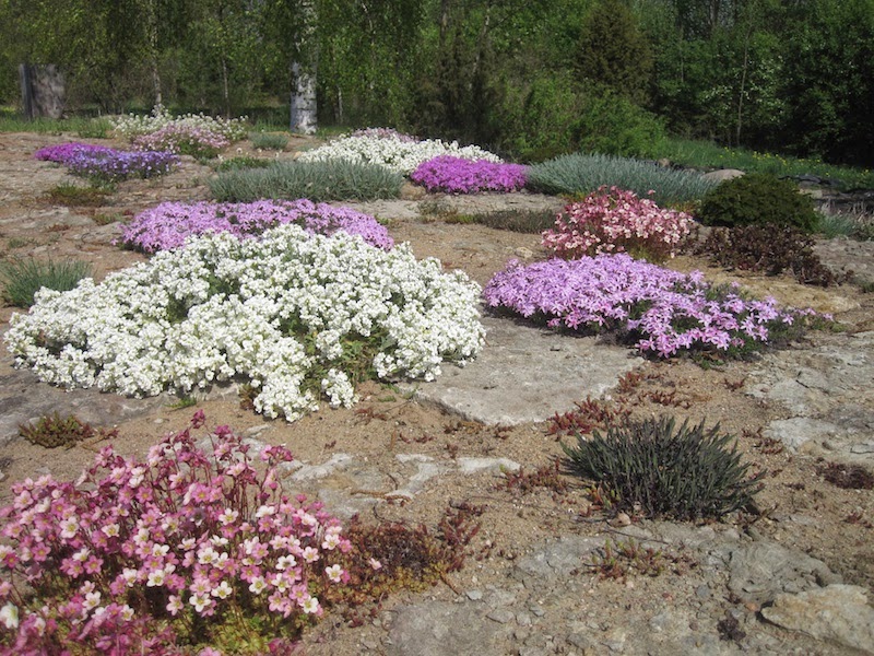 Kadaka aiapäevik - Kadakas Garden Diary: mai 2014