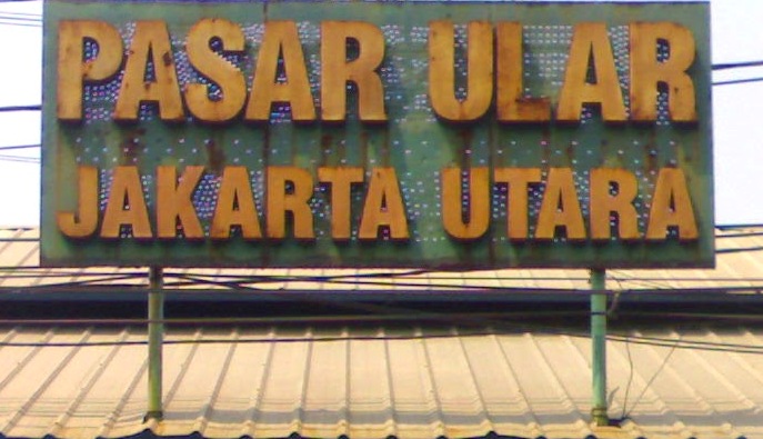 The Light Of Heaven: Hunting Barang Murah Bermerk, Pasar Ular Jakarta ...