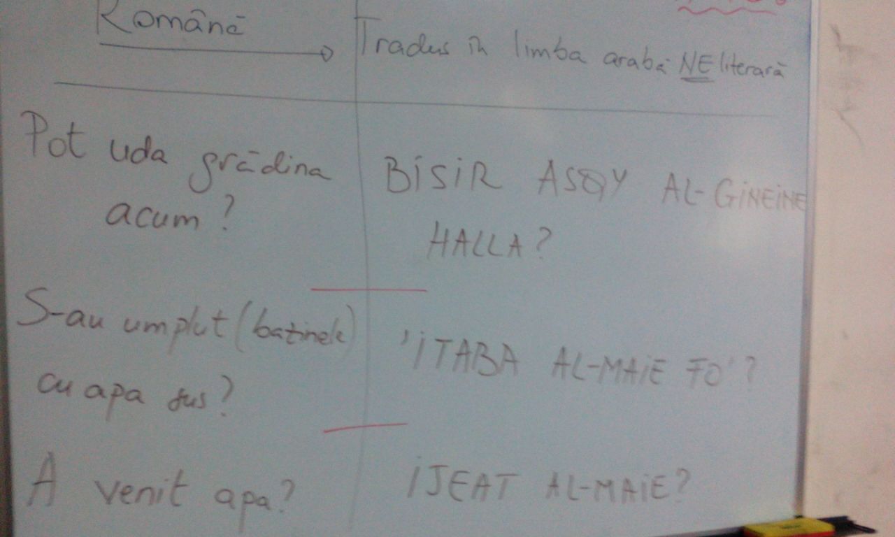 Expresii In Limba Araba (3) | Learn Arabic Amman