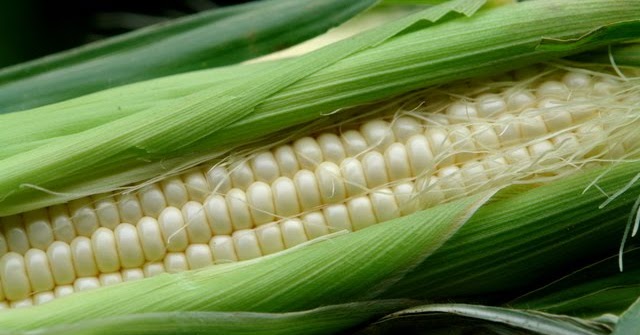 Receta de Picante de Choclos