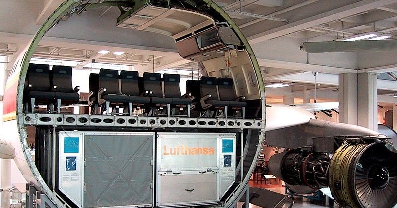 El vuelo de la Gran Avutarda