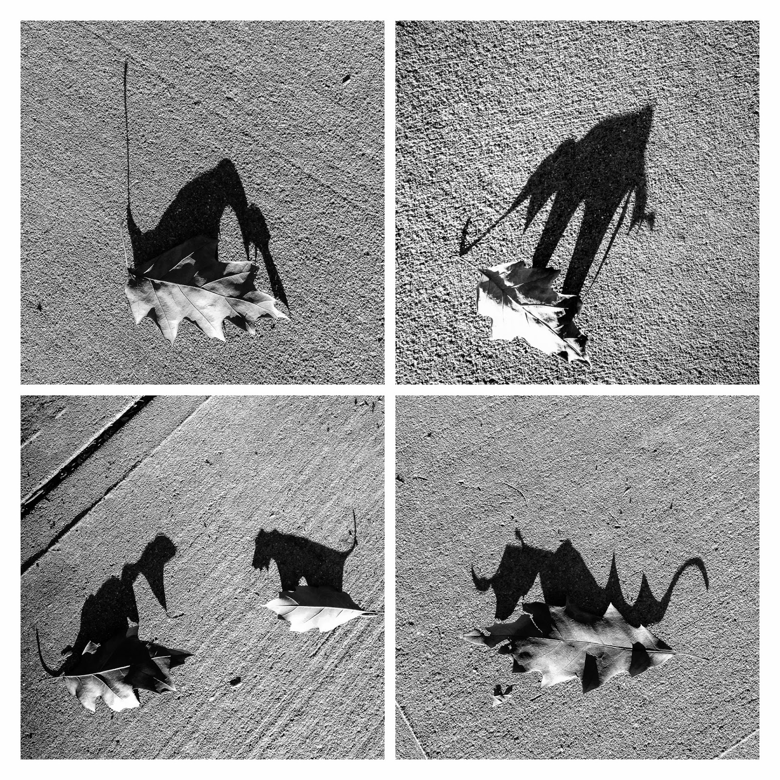 merritt design photo: Shadow Critters | Just for Fun