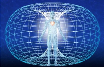 Espirales de Salud : Toroide - energía circular