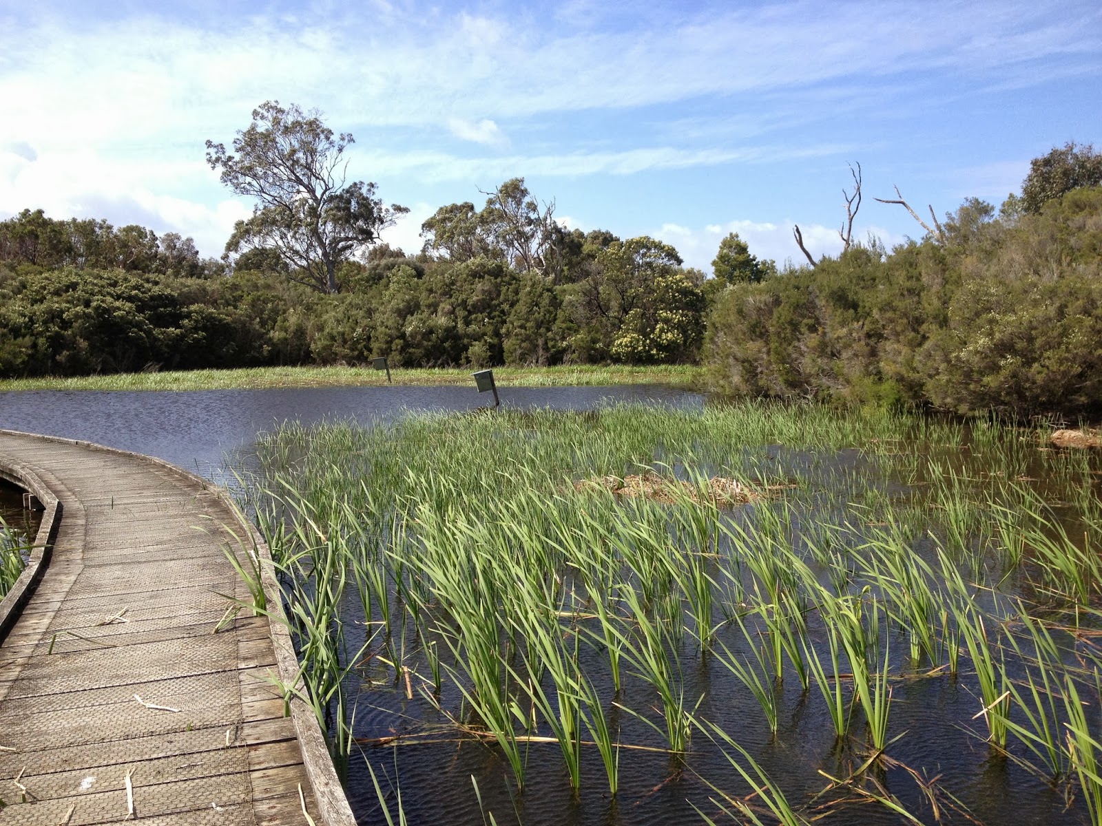 walkabouters club of victoria inc: Braeside Park - Edithvale-Seaford ...