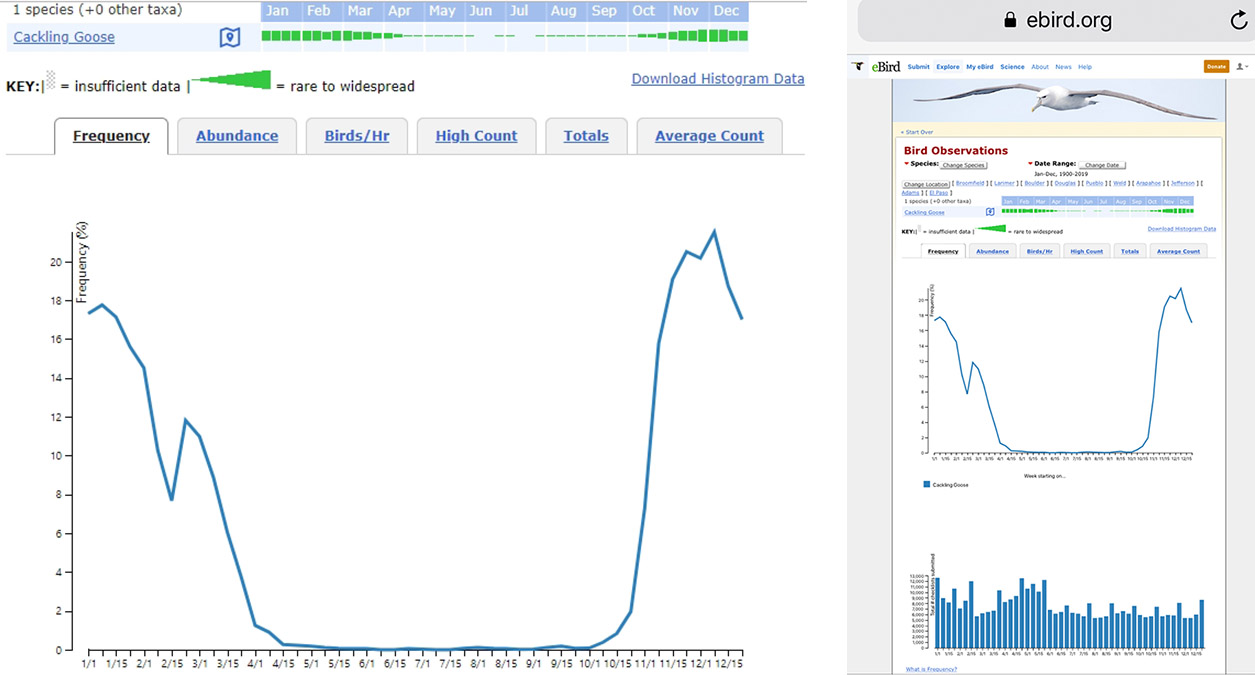 Colorado & Wyoming eBird