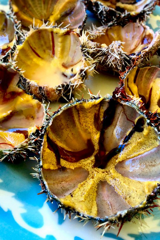 Swakiiiii! | dead-hungry