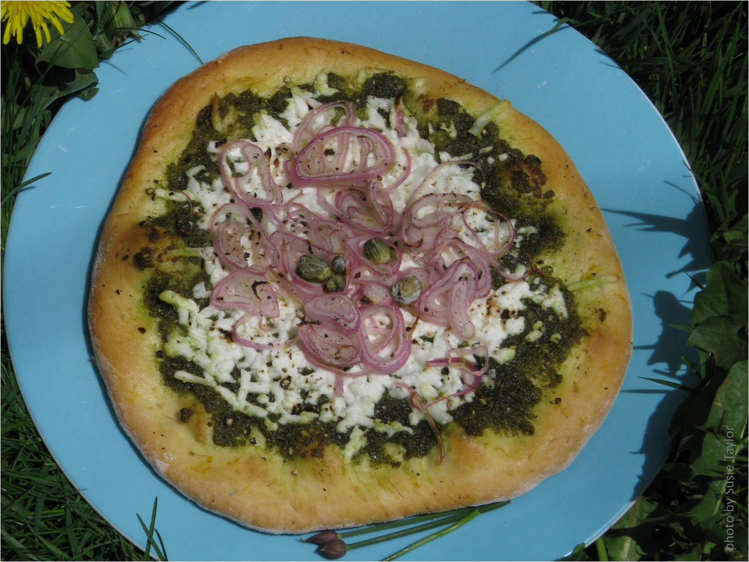 The Moose Curry Experience: Dandelion "Three Ways" Pizza