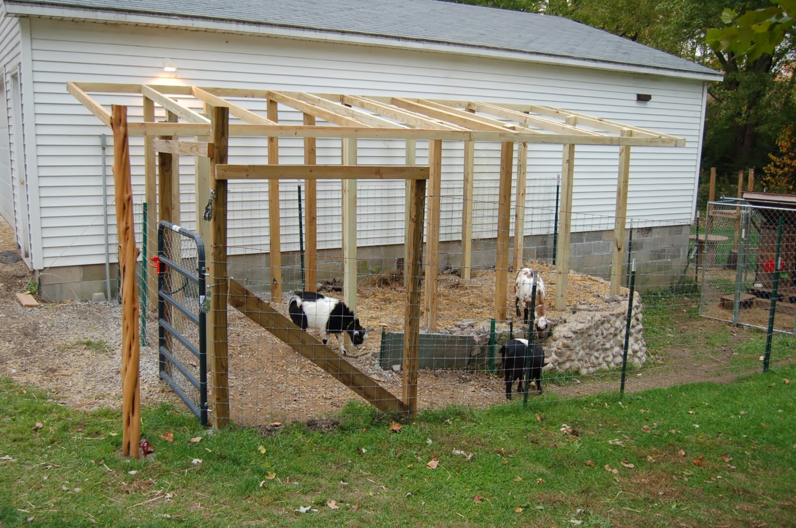 Our Little Backyard Farm: Pallet Goat Shed