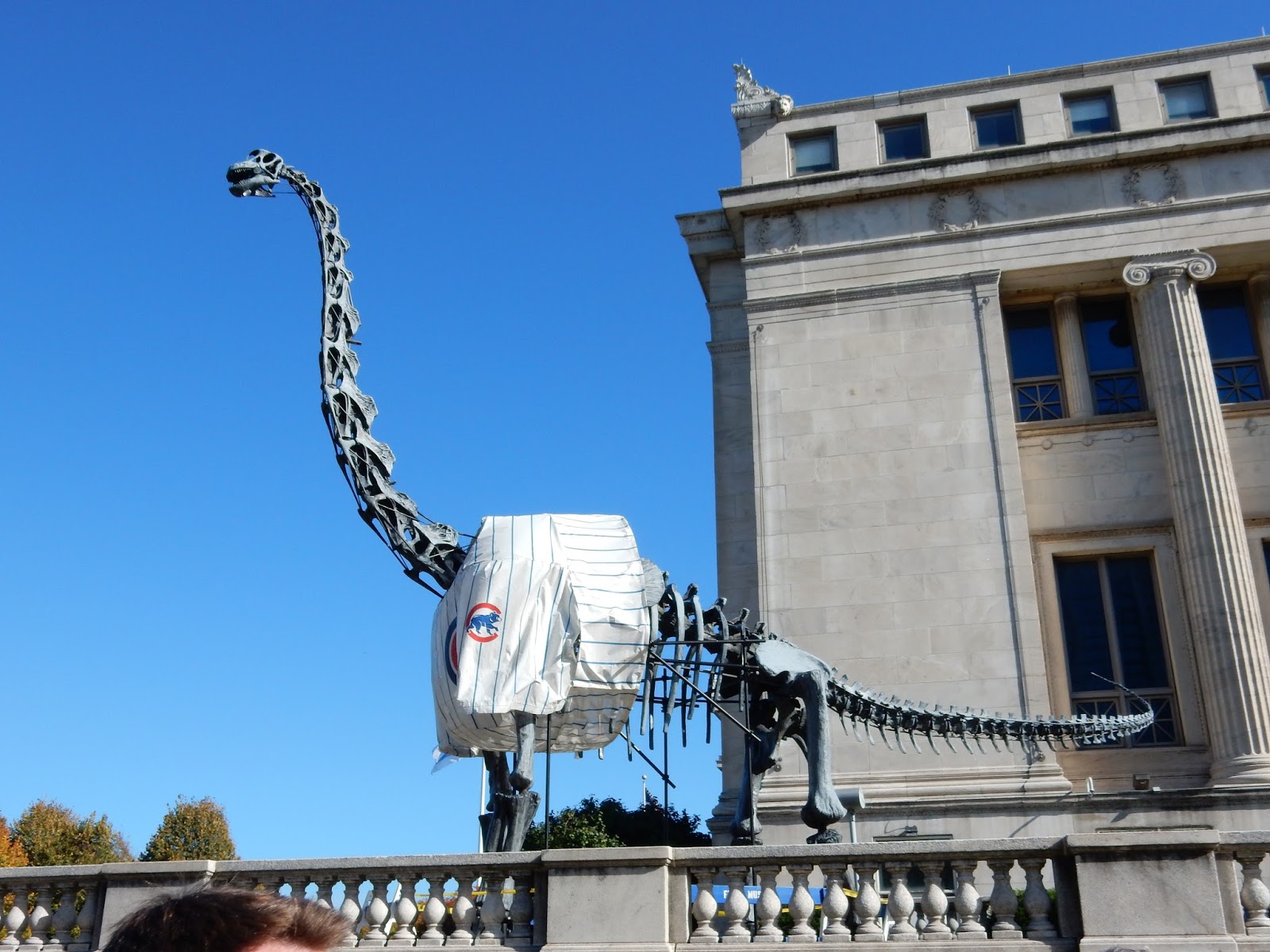 What happens when a non-accredited paleontology fan blogs: November 2016