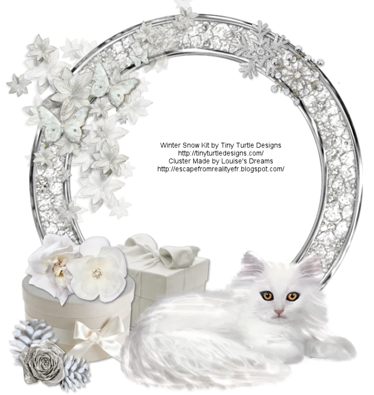 Escape From Reality Blog: FTU "Winter Snow" Clusters & Cluster Frames