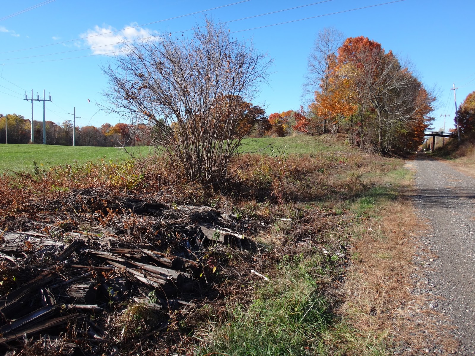 double d mountain runner: Methuen rail trail and Nevins bird sanctuary