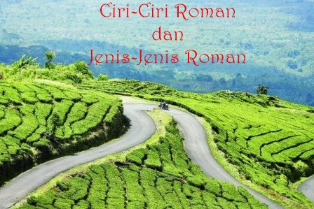 Ciri-Ciri Roman dan Jenis-Jenis Roman