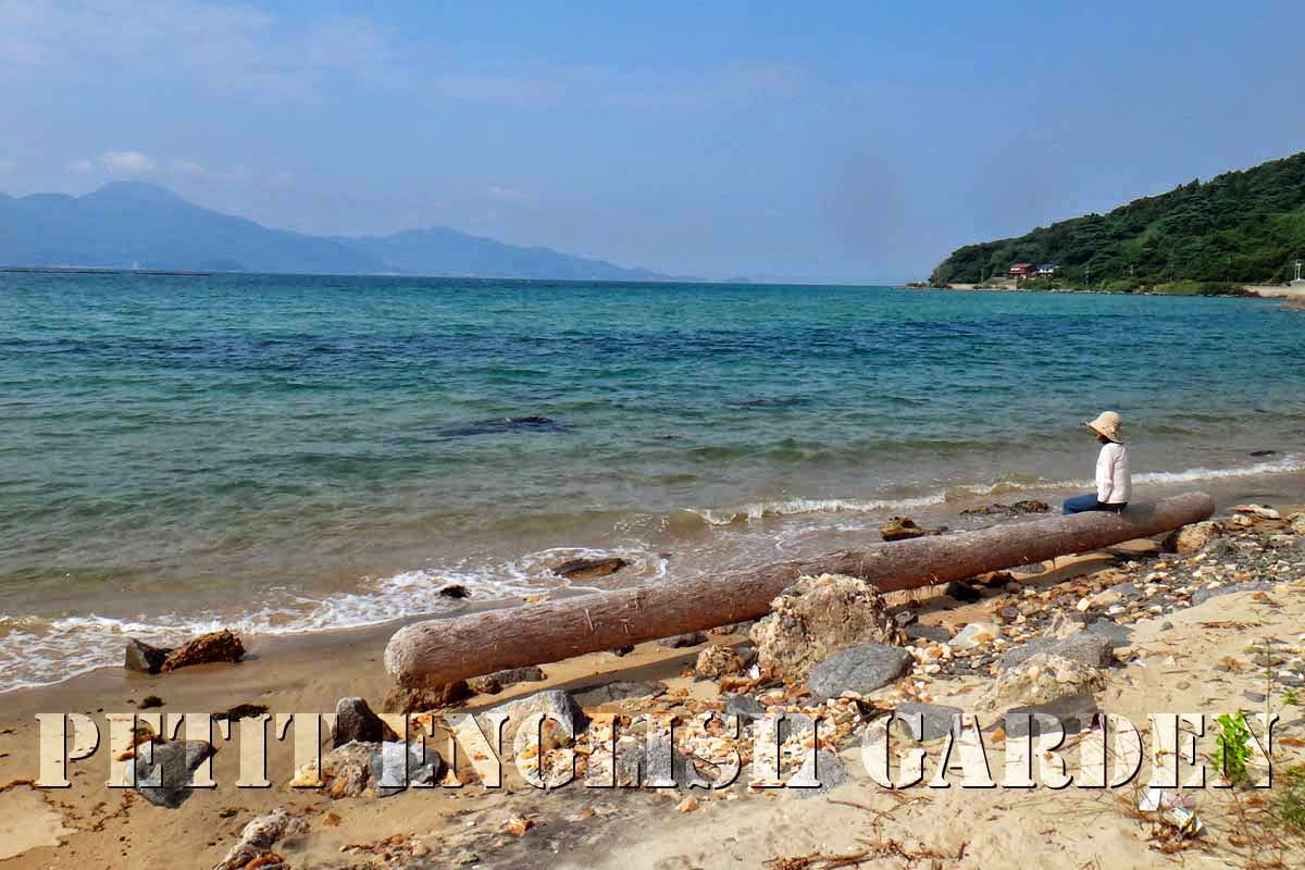 Petit English Garden of MARPLE & POIROT: TIMBER WASHED ASHORE